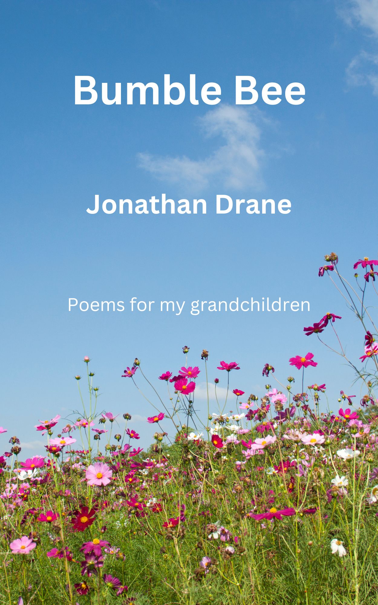 Bumble Bee- poems for my grandchildren – The City Whisperer