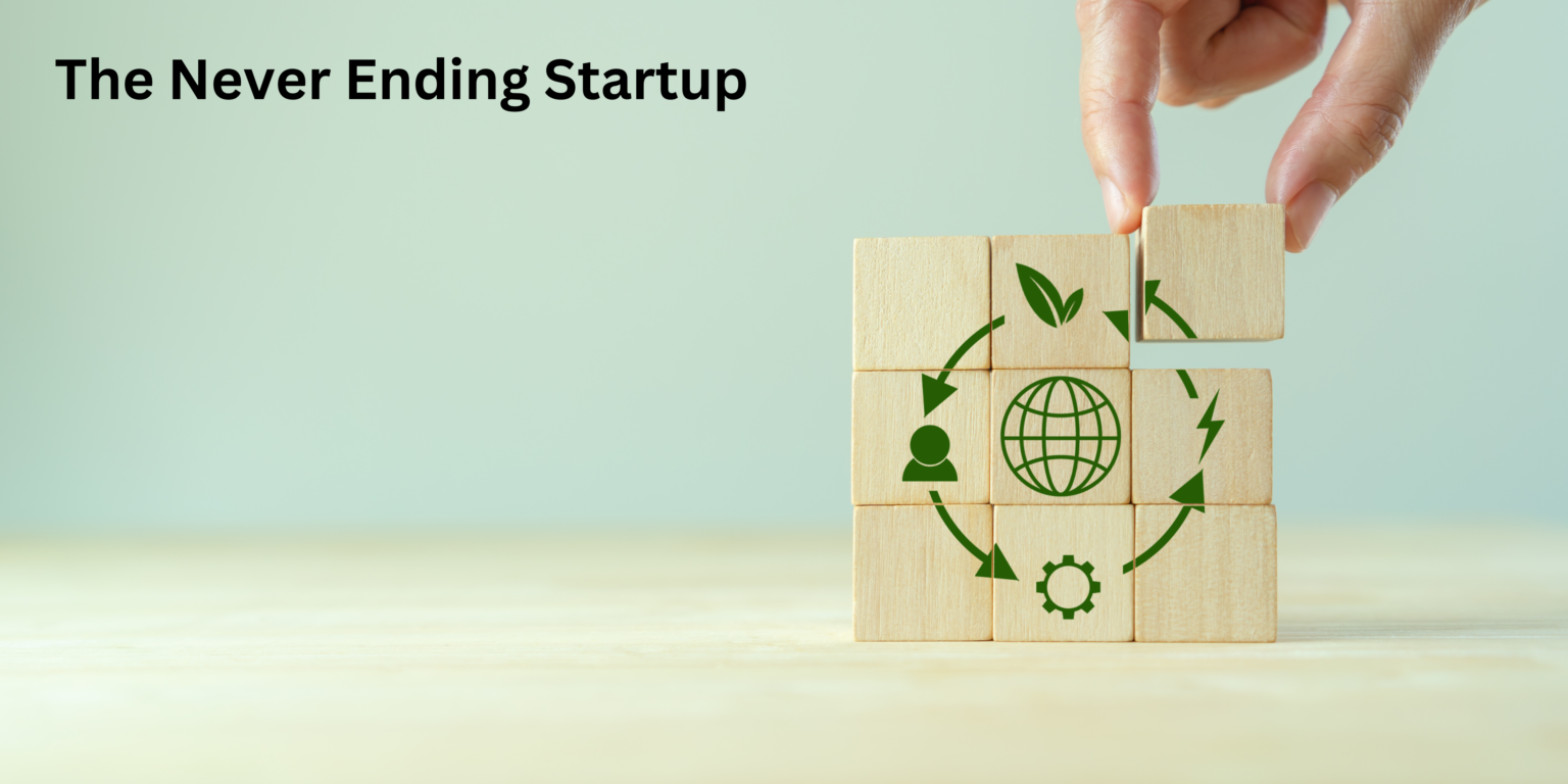 Preview: The Never Ending Startup Podcast- Startup Journey & Stories – The City Whisperer